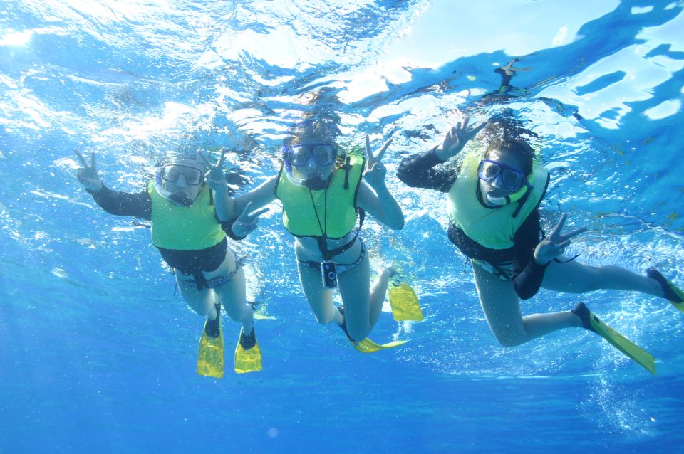 Oahu: Turtle Canyon Snorkeling & Hula Dance - Final Thoughts: Who Is This Tour Best For?