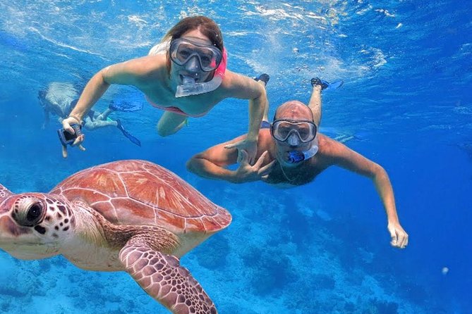 Oahu Ultimate Circle Island Tour Full Day Experience - Challenges & Considerations