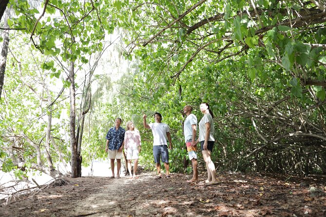 Oahu Uncovered: Full Island Tour with a Local Guide - Exploring the Full Oahu Experience