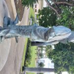 Oahu: USS Arizona Memorial Deluxe Tour - Who Is This Tour Best For?