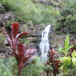 Oahu: Valley of Waimea Falls Swim & Hike with Lunch & Dole - The Scenic Waimea Valley Hike