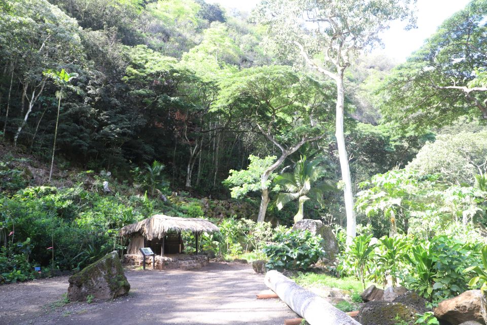 Oahu: Valley of Waimea Falls Swim & Hike with Lunch & Dole - Lunch & Relaxation in Waimea Valley