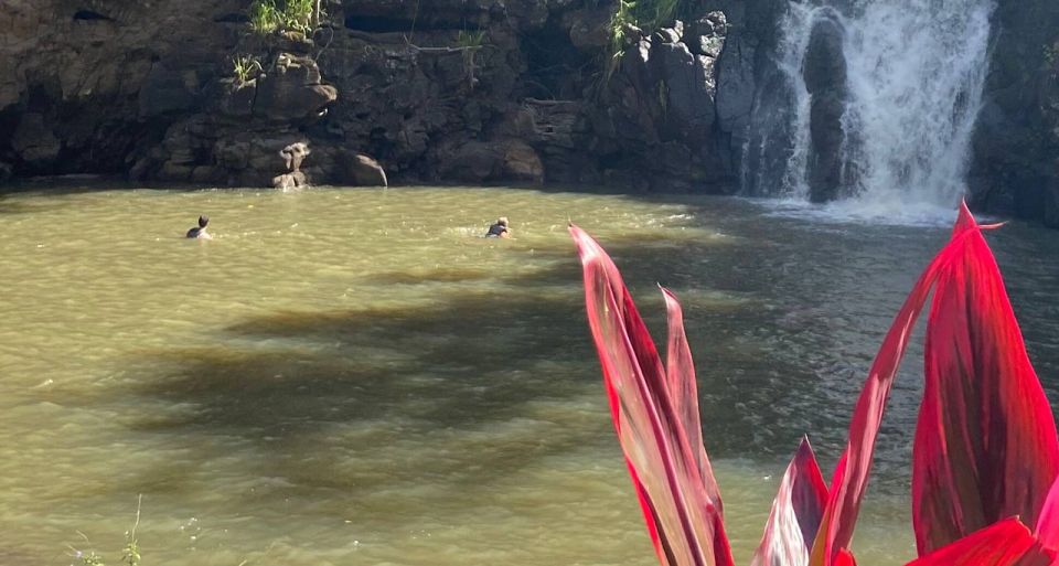 Oahu: Valley of Waimea Falls Swim & Hike with Lunch & Dole - Dole Plantation: A Sweet Ending