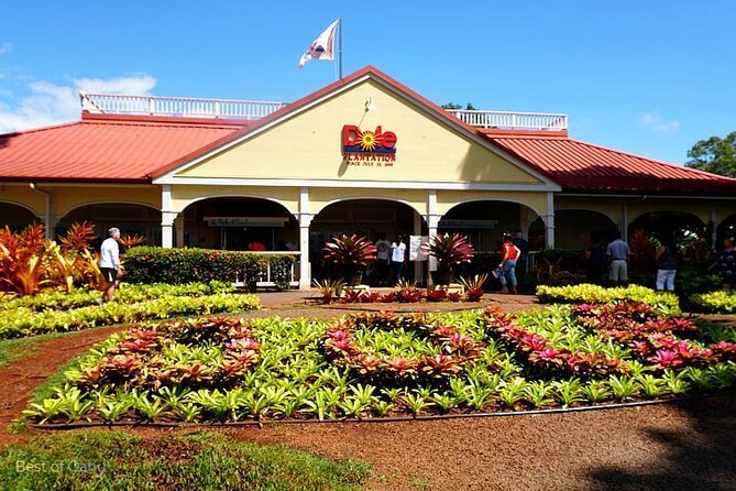 oahu VIP circle island tour,Private & LUXURY,northshore,sunset - Practical Tips for Your Tour