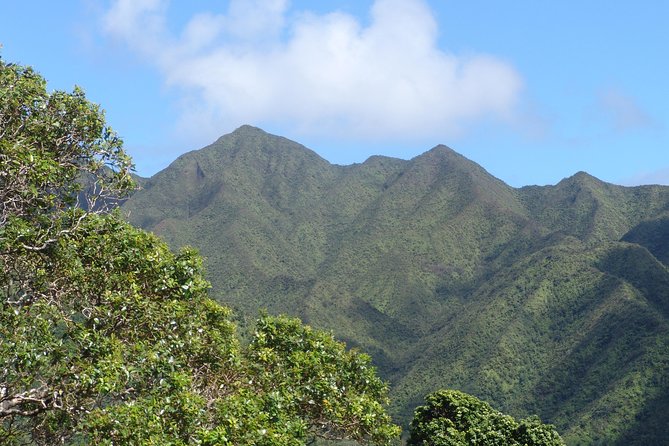 Oahu Volcanic Rainforest Hiking Adventure - Who Will Love This Tour?