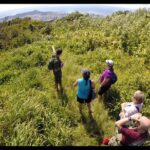 Oahu Volcanic Rainforest Hiking Adventure - Final Thoughts on Value and Experience