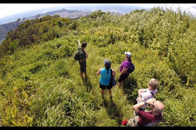 Oahu Volcanic Rainforest Hiking Adventure - Final Thoughts on Value and Experience