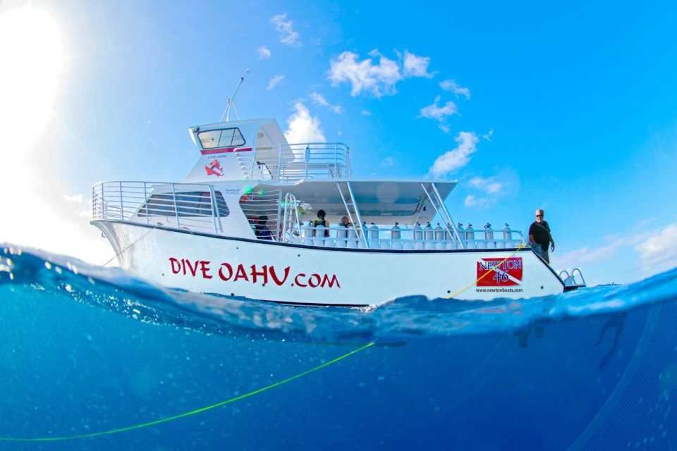 Oahu: Waikiki Discovery Scuba Diving for Beginners - FAQ