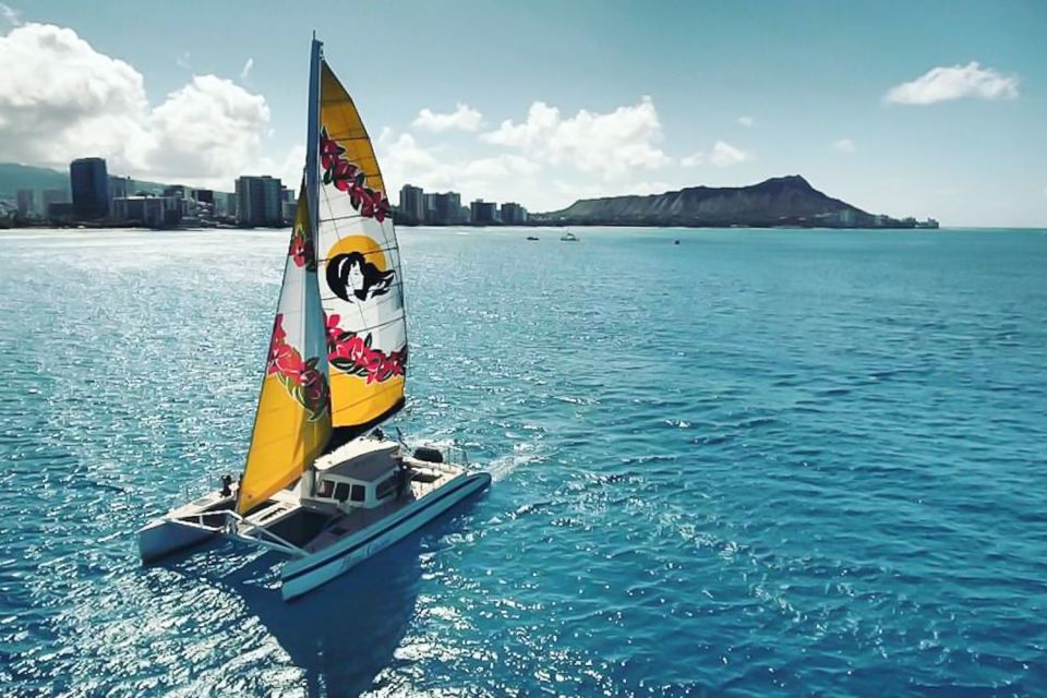 Oahu: Waikiki Eco-Friendly Morning Whale Watching Cruise - The Authenticity and Review Insights
