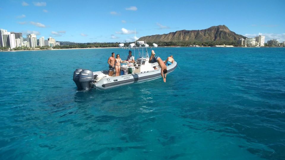 Oahu: Waikiki Private Snorkeling and Wildlife Boat Tour - The Experience: What You Can Expect