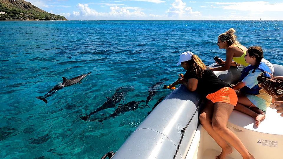 Oahu: Waikiki Private Snorkeling and Wildlife Boat Tour - The Value of a Private Snorkeling Tour