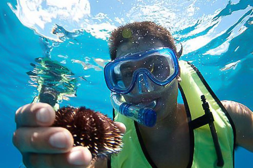 Oahu: Waikiki Snorkel and Sailing Trip with Lunch - The Value and Who Will Love This Tour