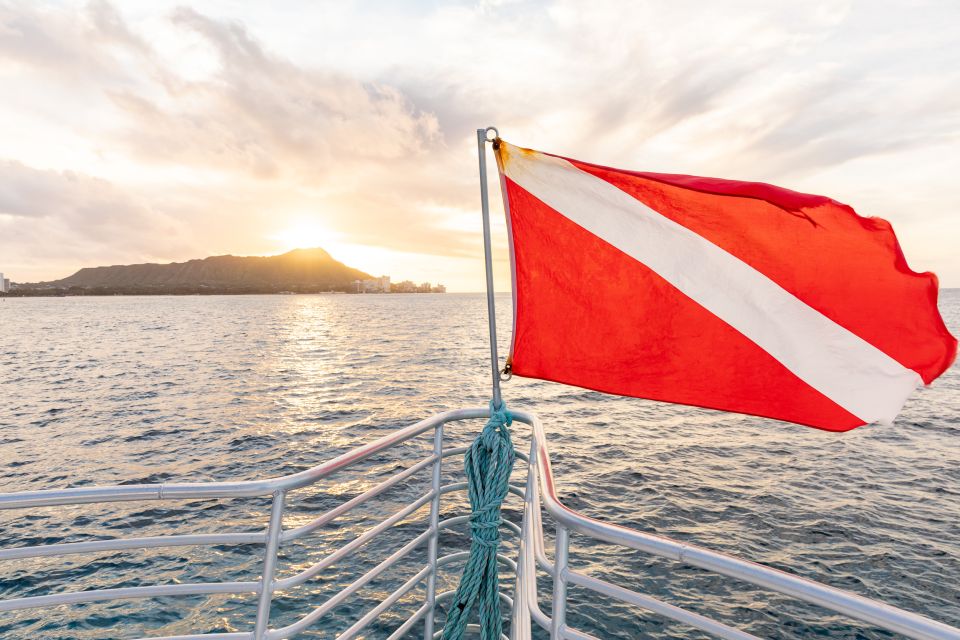 Oahu: Waikiki Turtle Canyons Cruise and Snorkel Excursion - The Itinerary in Detail