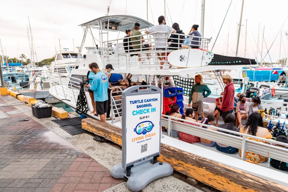 Oahu: Waikiki Turtle Canyons Cruise and Snorkel Excursion - Final Thoughts