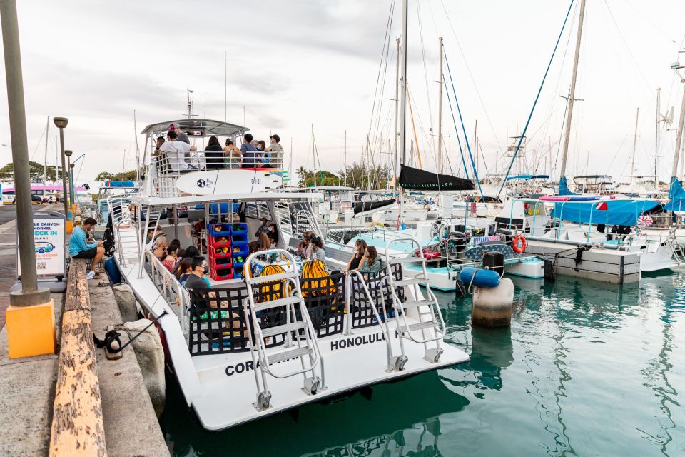 Oahu: Waikiki Turtle Canyons Cruise and Snorkel Excursion - FAQ