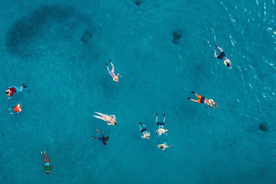 Oahu: Waikiki Turtle Snorkeling Adventure Cruise - The Experience: What to Expect  