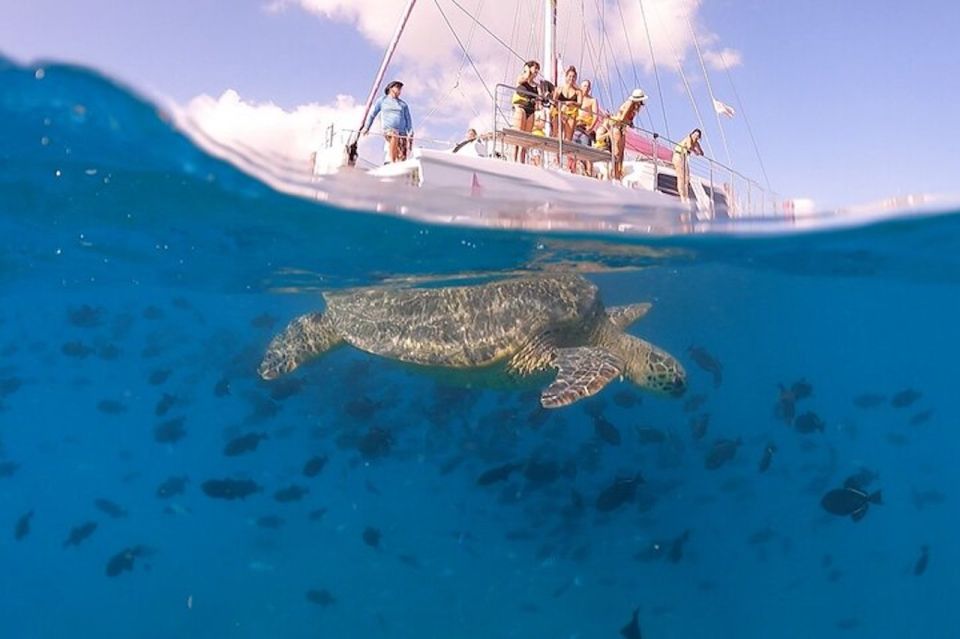 Oahu: Waikiki Turtle Snorkeling Adventure Cruise - Why This Tour Offers Great Value