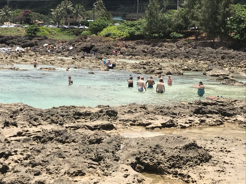 Oahu: Waimea Falls & valley & North Shore day - An In-Depth Look at the Oahu North Shore & Waimea Valley Tour
