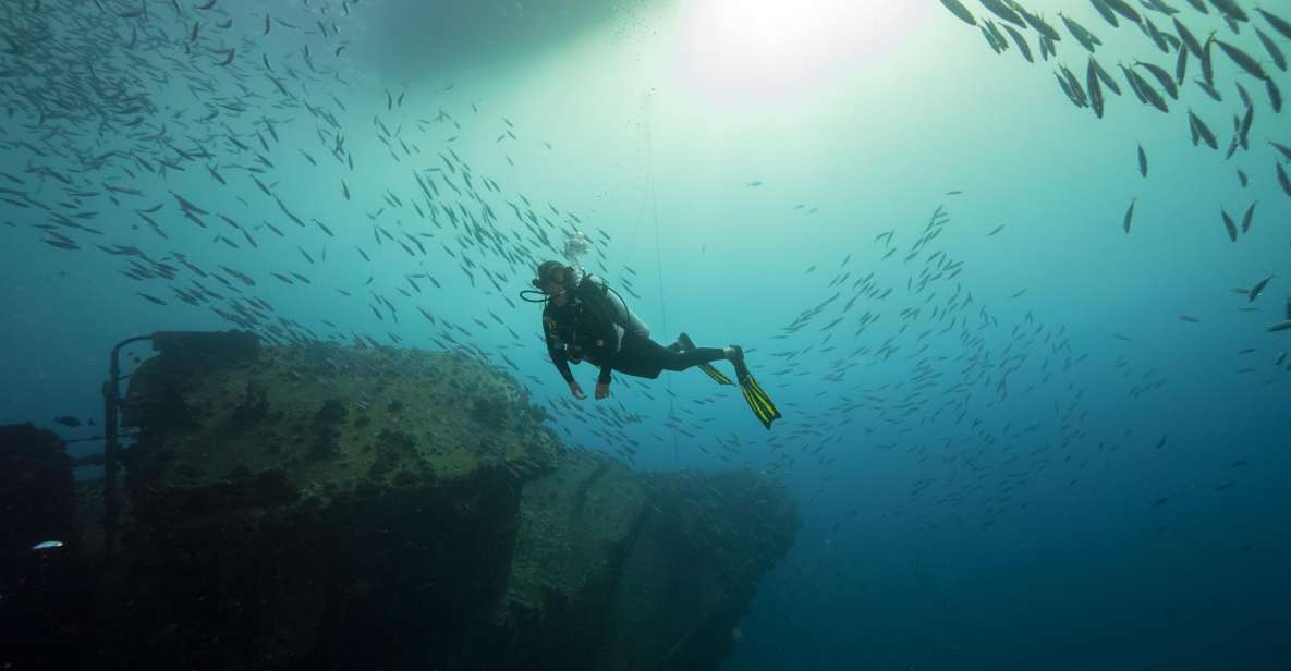 Oahu: Wreck & Reef Scuba Dive for Certified Divers - An In-Depth Look at the Wreck & Reef Dive Tour