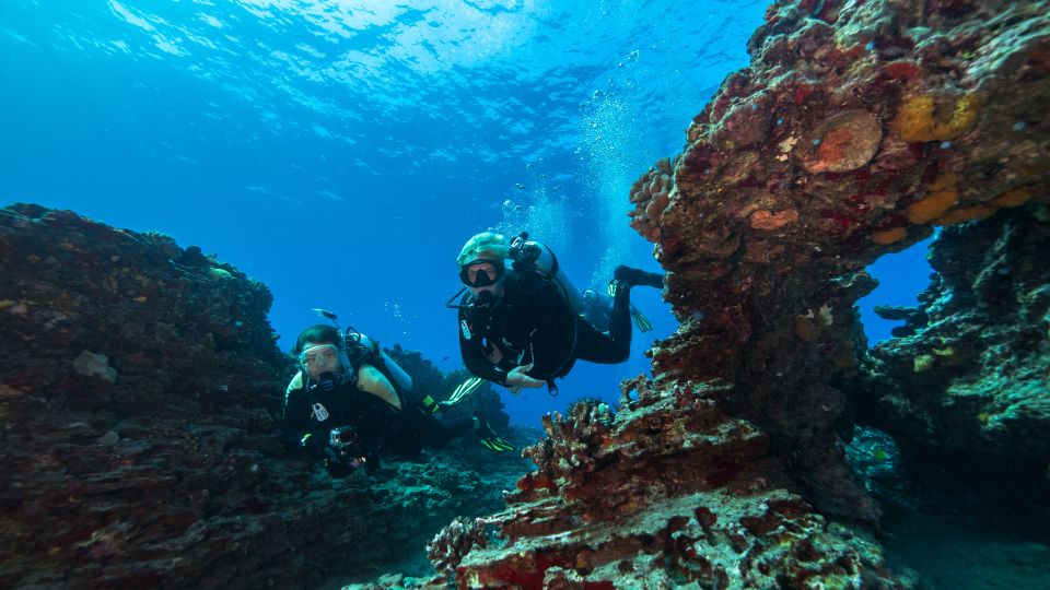 Oahu: Wreck & Reef Scuba Dive for Certified Divers - Practical Details & Tips