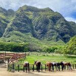 Oahu's Fun and Foodie Tour Groups of 5 or more Only! - Why This Tour Offers Great Value