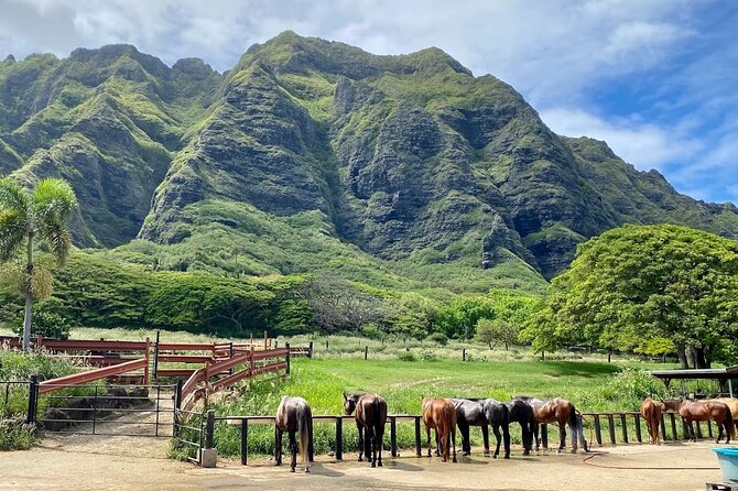 Oahu's Fun and Foodie Tour Groups of 5 or more Only! - Why This Tour Offers Great Value