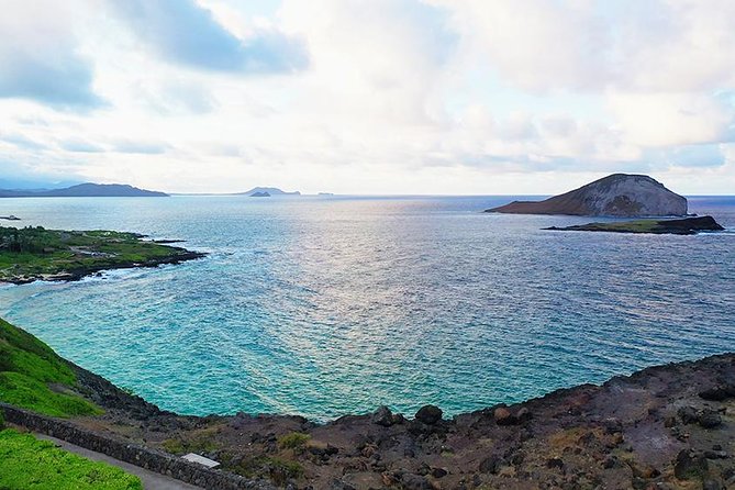 Oahu's Ultimate Tour: Dole, Turtle Snorkel, Pali Lookout & More - What to Expect from This Full-Day Oahu Tour