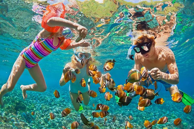Oahu's Ultimate Tour: Dole, Turtle Snorkel, Pali Lookout & More - The Experience Guides Make It Special