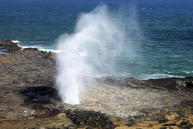 Oahu's Ultimate Tour: Dole, Turtle Snorkel, Pali Lookout & More - FAQ