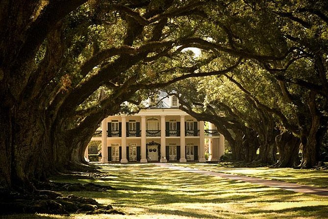 Oak Alley Plantation and Large Airboat Swamp Tour from New Orleans - What to Expect from the Itinerary