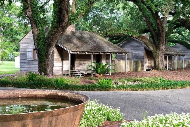 Oak Alley Plantation and Large Airboat Swamp Tour from New Orleans - The Practicalities and Value
