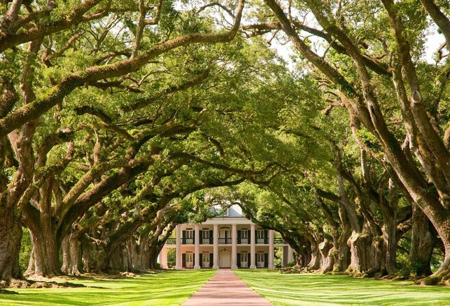 Oak Alley Plantation Half-Day Tour from New Orleans - Practical Tips for Your Visit