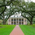 Oak Alley Plantation Tour with Transportation - Who Will Love This Tour?