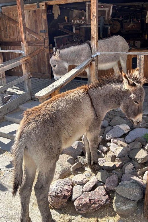 Oatman / RT66 3 in 1 Combo Tour - Transportation and Group Size