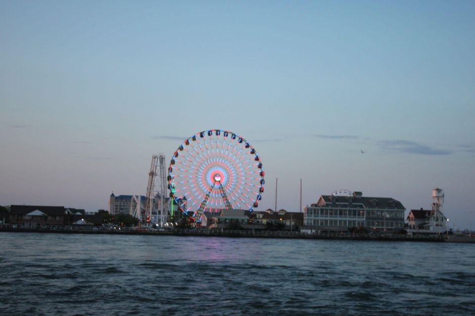 Ocean City, MD: Coastal Speedboat Tour with Dolphin Spotting - Key Points