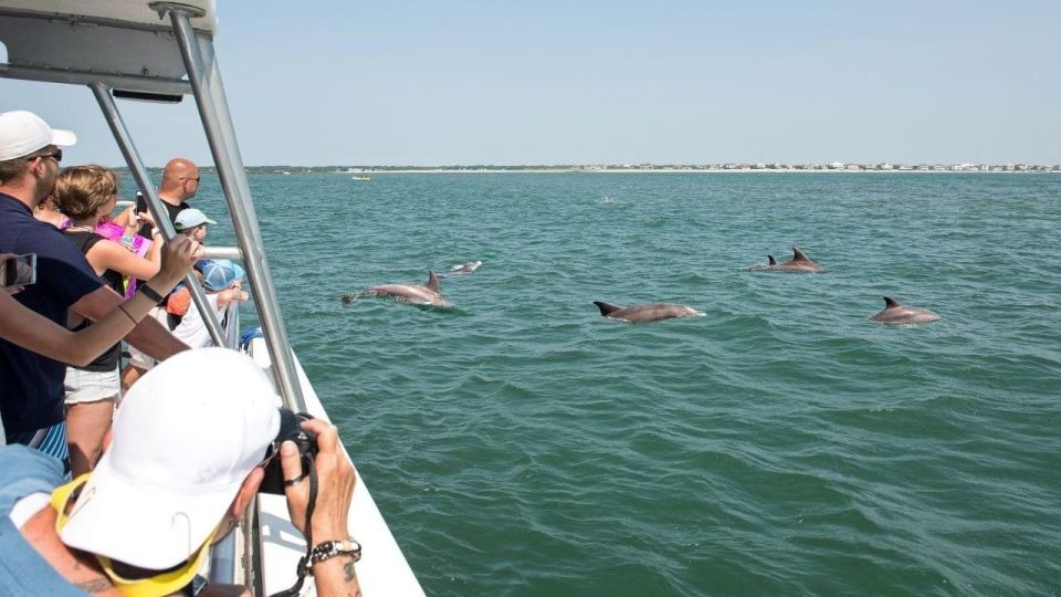 Ocean City, MD: Coastal Speedboat Tour with Dolphin Spotting - Who Should Book This Experience?