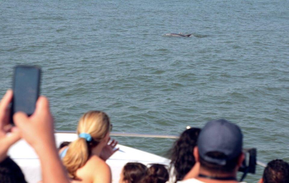 Ocean City, MD: Coastal Speedboat Tour with Dolphin Spotting - FAQ