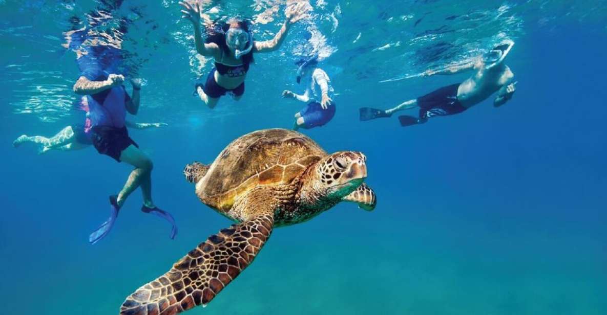 Ocean Reef Snorkeling and Paddleboarding - Practical Details: What You Need to Know