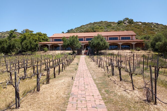 Oceanside, Auto Museum & Winery Tour & Tasting - Final Thoughts: Is This Tour for You?