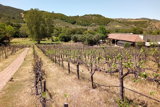 Oceanside, Auto Museum & Winery Tour & Tasting - Frequently Asked Questions