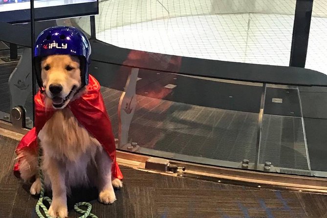 Oceanside Indoor Skydiving Experience with 2 Flights & Personalized Certificate - FAQ