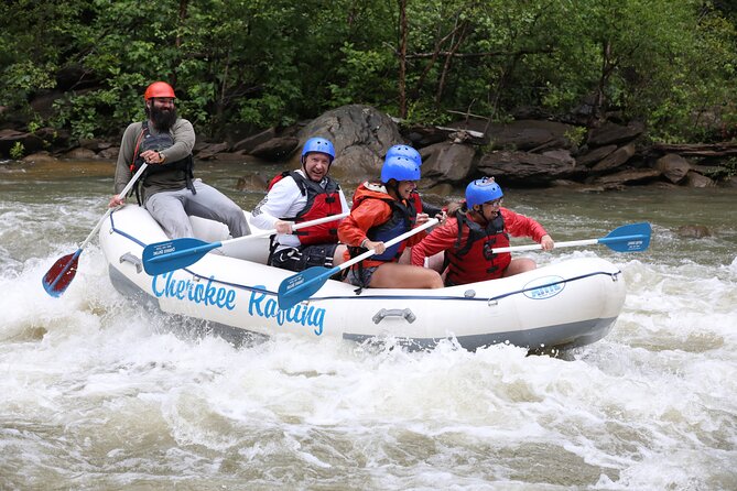 Ocoee River Middle Whitewater Rafting Trip (Most Popular Tour) - Introduction