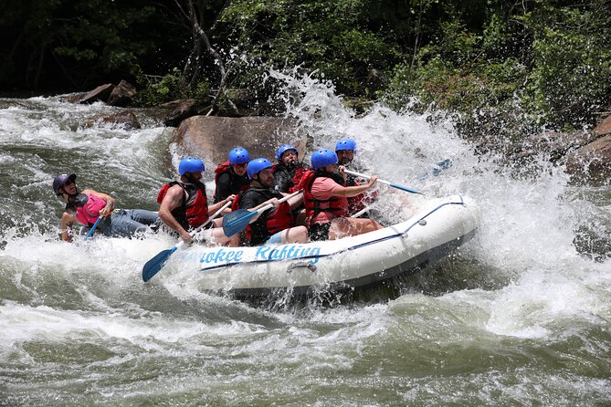 Ocoee River Middle Whitewater Rafting Trip (Most Popular Tour) - The Experience for Different Types of Travelers
