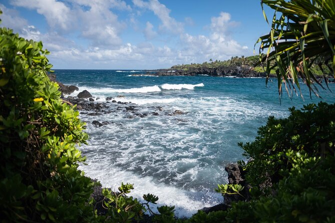 Off Road Coastal Tour 4x4 Vehicle With Snorkel, Photo and Video - The Sum Up