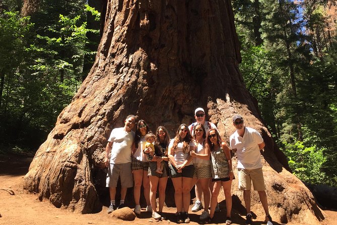 Off-Road Giant Sequoia 4x4 Tour - Off-Road Giant Sequoia 4x4 Tour: An Authentic Yosemite Forest Experience