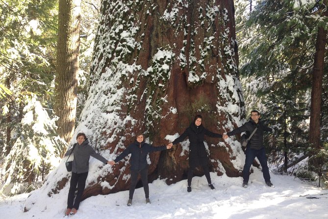Off-Road Giant Sequoia 4x4 Tour - Key Points