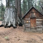 Off-Road Giant Sequoia 4x4 Tour - Discovering a New Side of Yosemite: An In-Depth Look