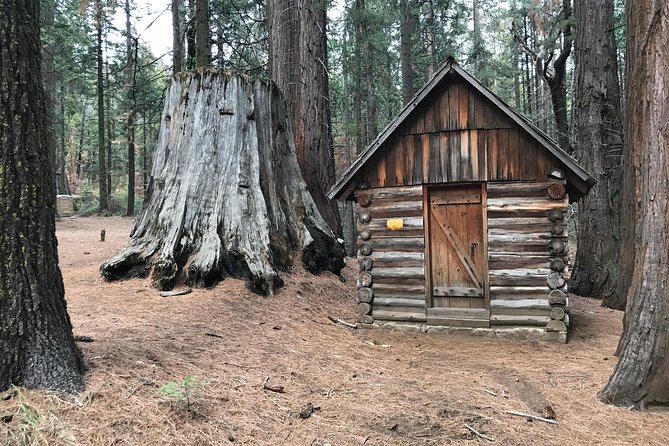 Off-Road Giant Sequoia 4x4 Tour - Discovering a New Side of Yosemite: An In-Depth Look