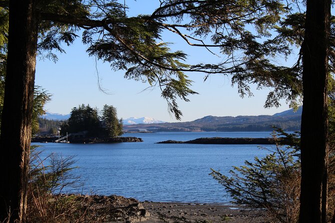 Off the Beaten Path Ketchikan Photo Safari - 3 hr. - What to Expect from the Itinerary