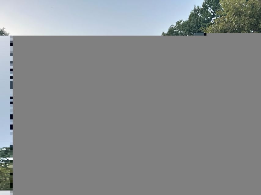 Official Exclusive VIP Horse Carriage Ride in Central Park - Key Points